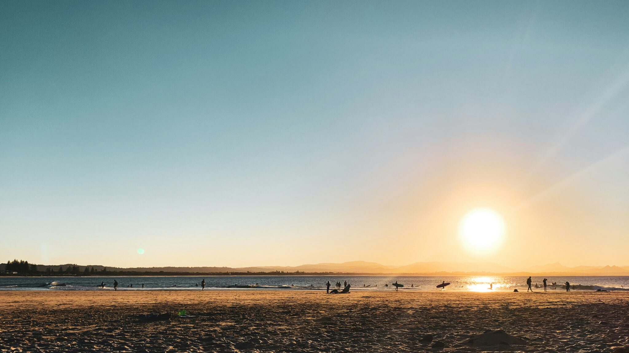 Disability and Community Services - Escient